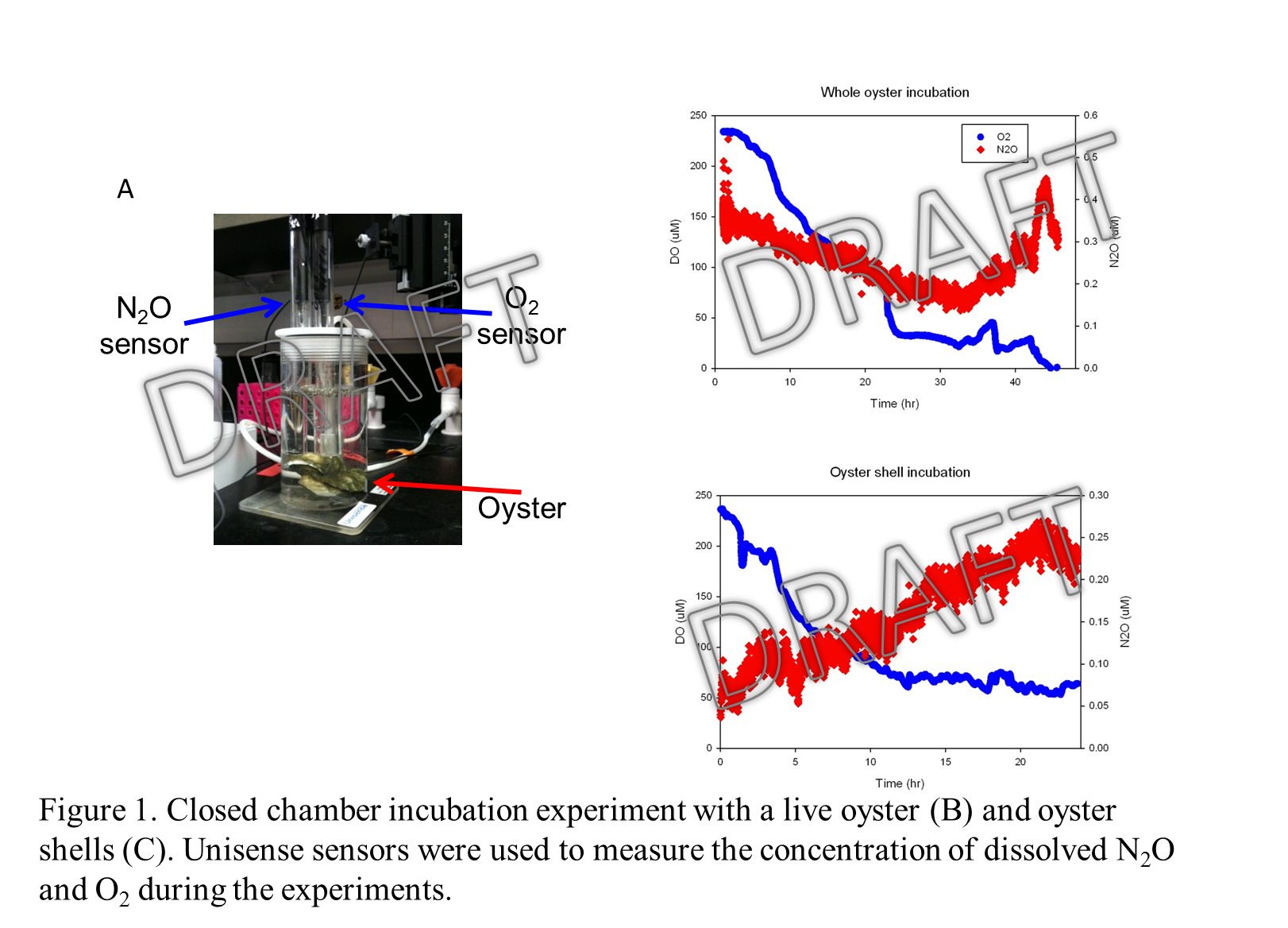 N2O Emission | The Tobias Lab